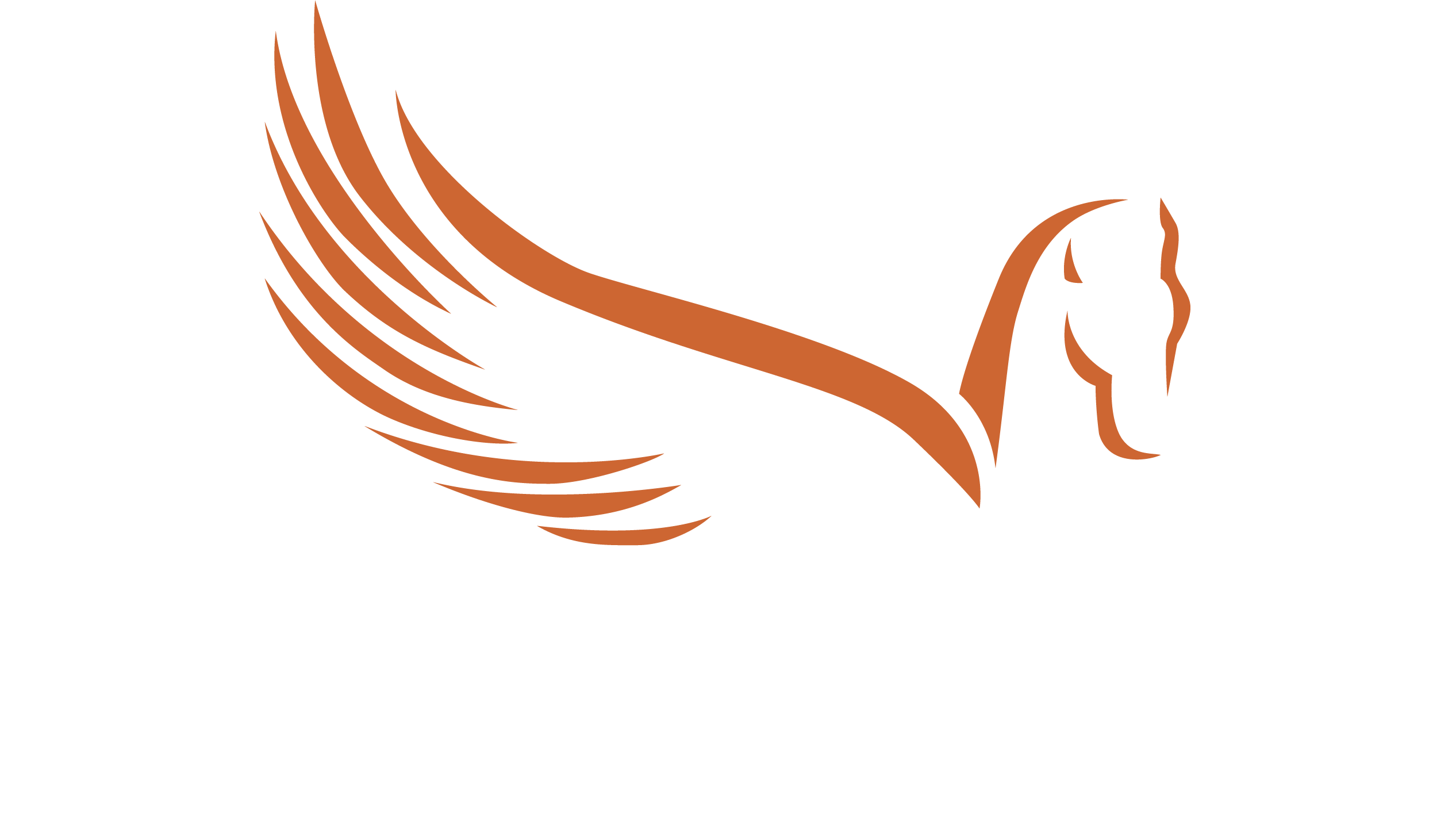 Application Integration: Everything you need to know - Pegasus